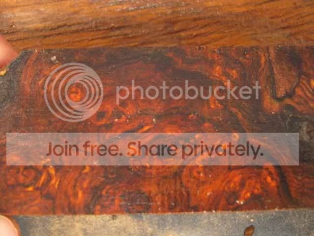 Knife blocks- Buckeye burl, logwood, coolibah, Rosewood burl and rare ...