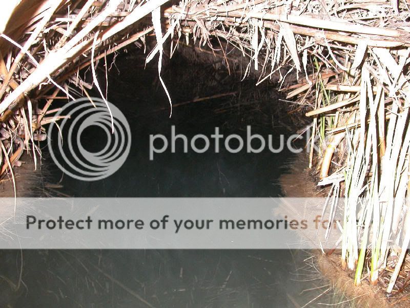 Bamboo Pool, Big Bend National Park - Soakers Forum