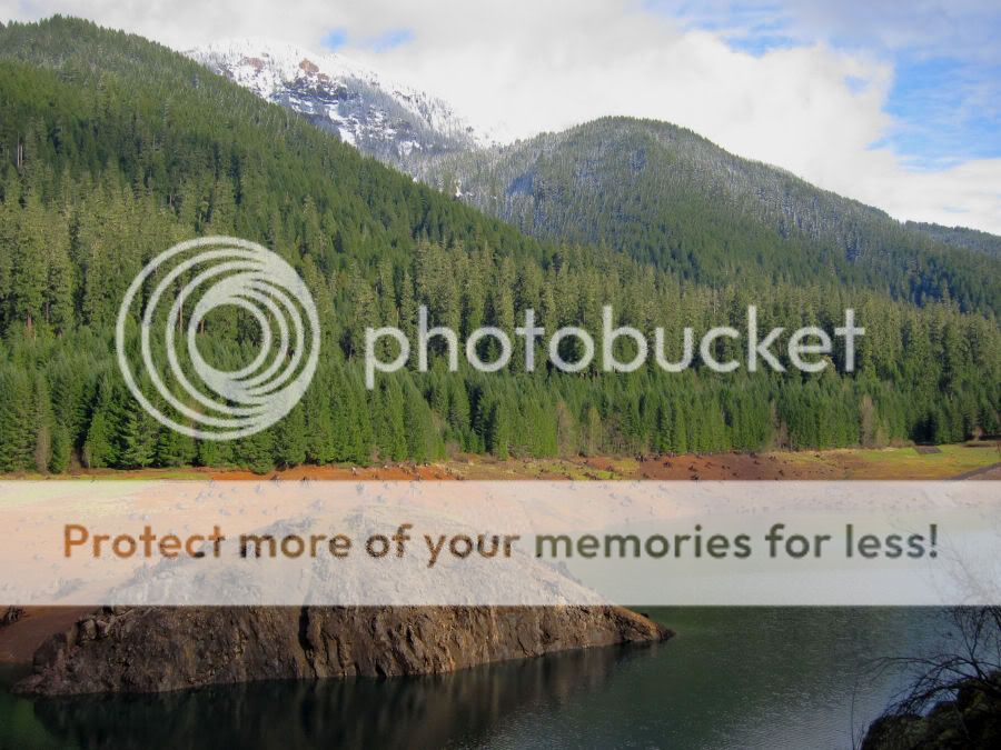 Spring at Cougar - Soakers Forum