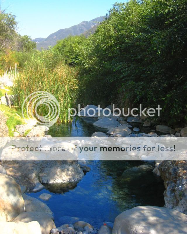 Vickers Hot Springs - Soakers Forum