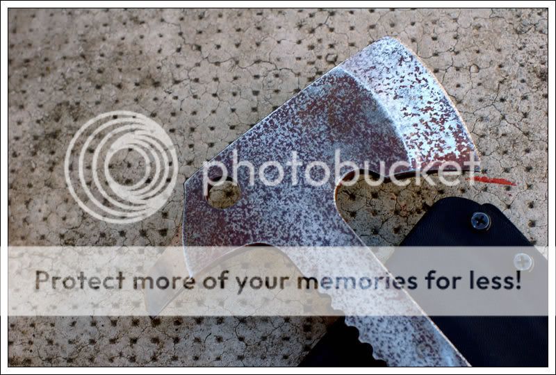 Tomahawks in Iraq? > General Discussion > AR15.COM